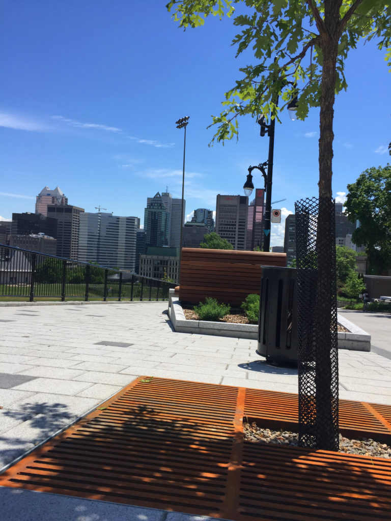 Laroche Foundry | Cast iron tree guards